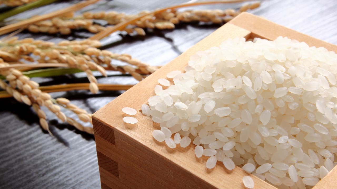 Discovering Different Rice Types for Sushi - Pika Sushi